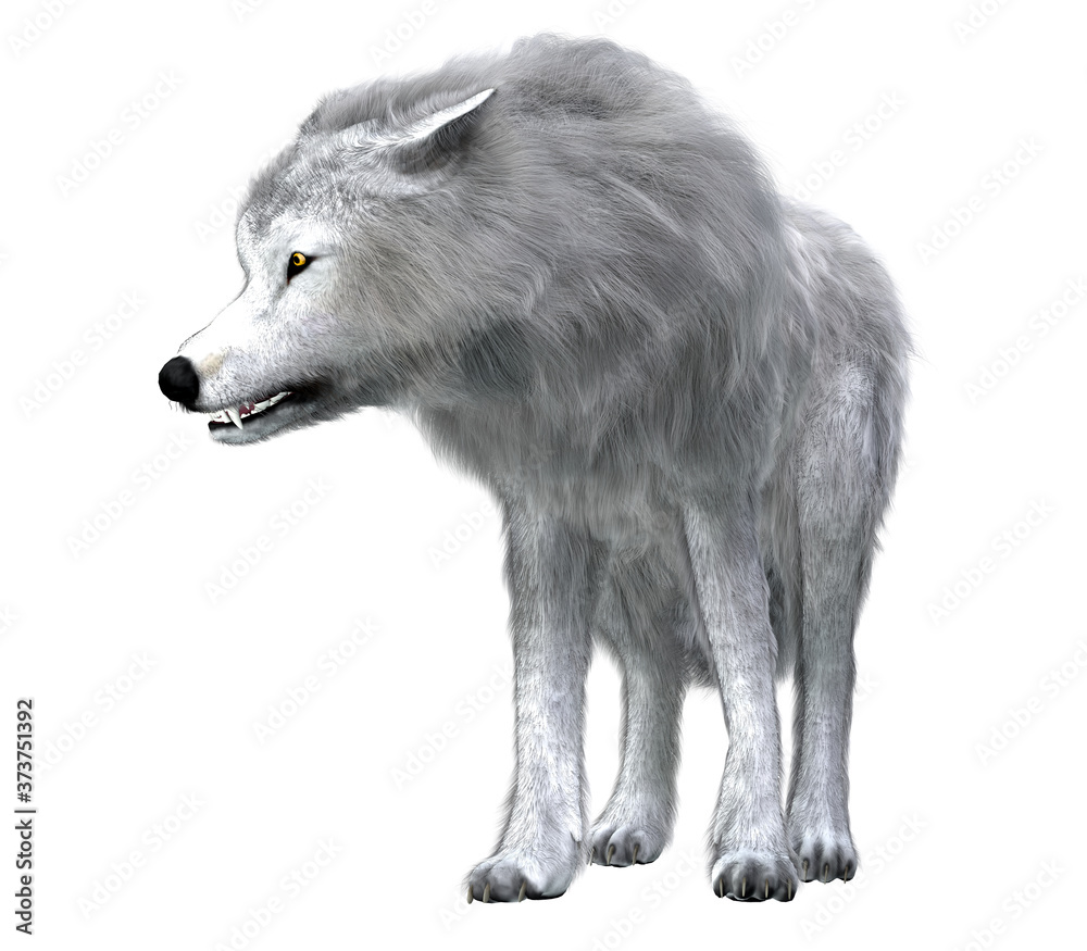 Dire Wolf Pack Leader - The predatory Dire Wolf prowled the forests of ...