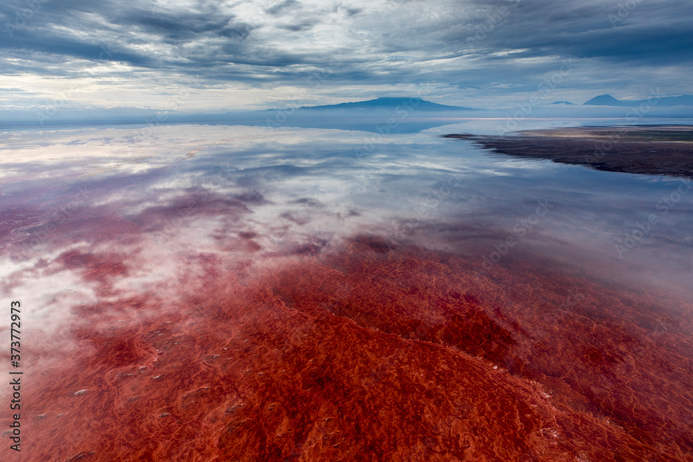 Foto de Africa, Tanzania, Enhanced contrast aerial view of patterns of red algae and salt ...