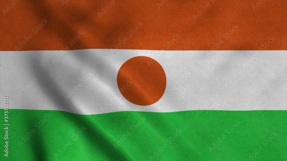 Republic of Niger flag waving in the wind. National flag of Niger. Sign ...