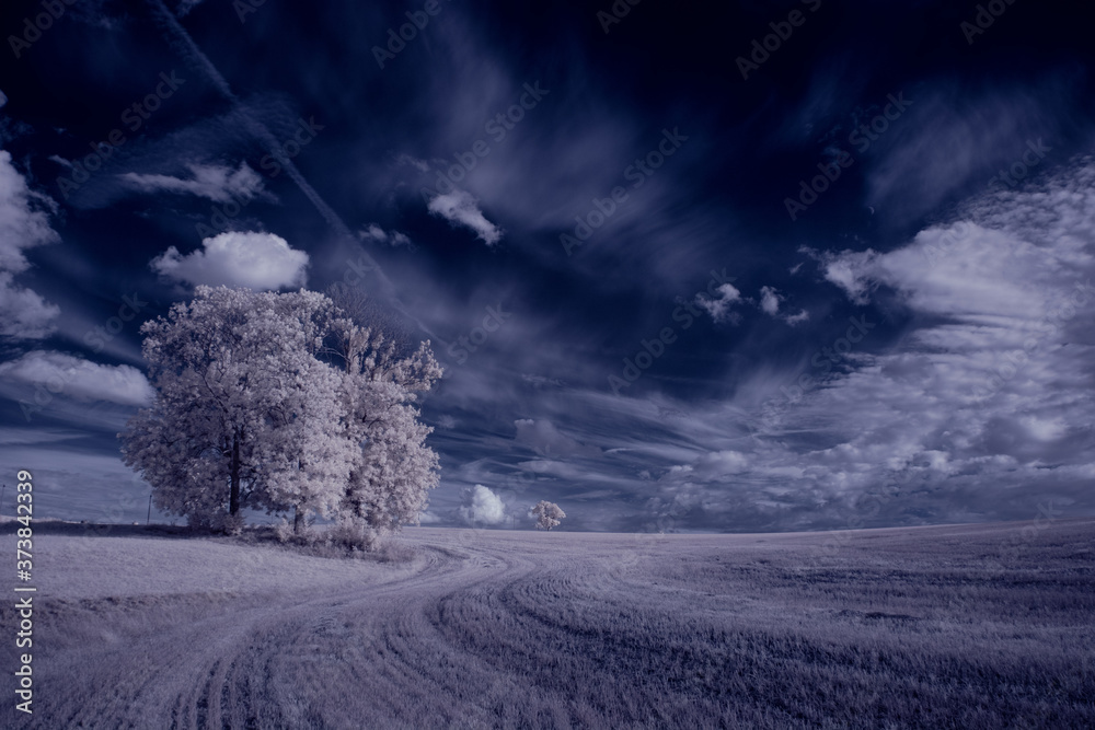 infrared photography - ir photo of landscape with tree under sky with ...