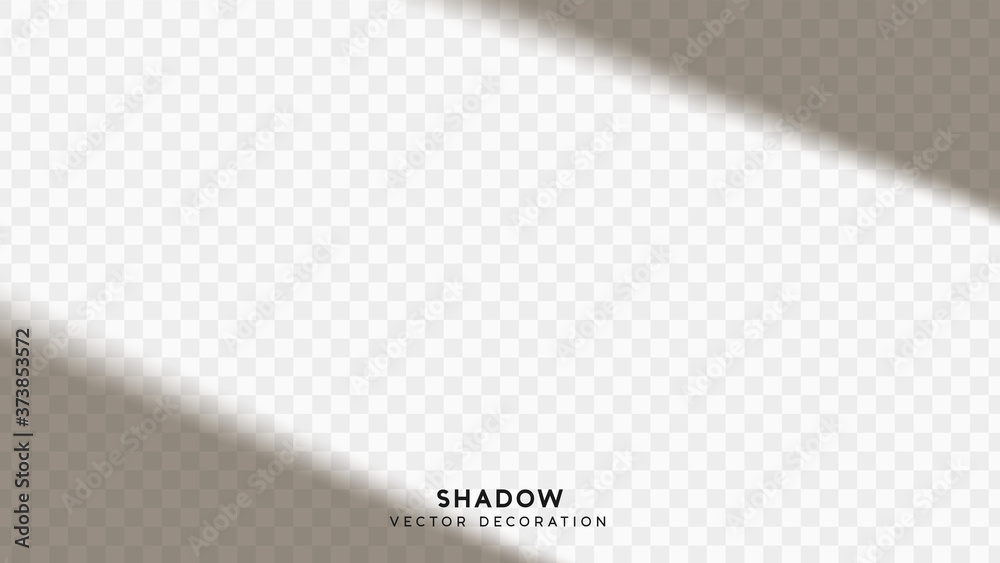 Shadow overlay. Effect light transparent shadow. Realistic creating ...