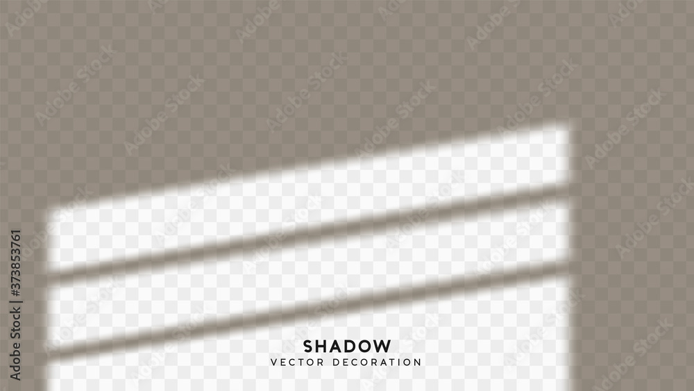 Shadow overlay. Effect light transparent shadow. Realistic creating ...