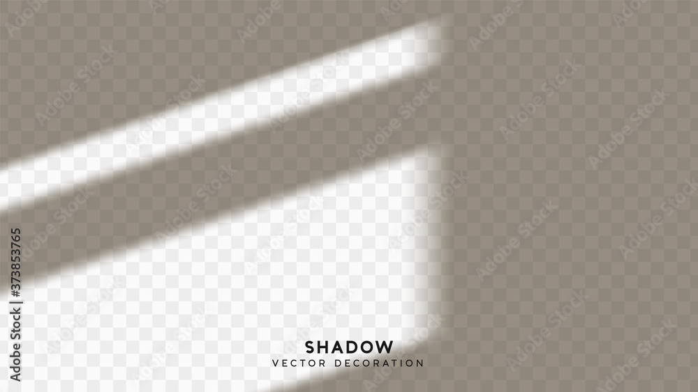 Shadow overlay. Effect light transparent shadow. Realistic creating ...