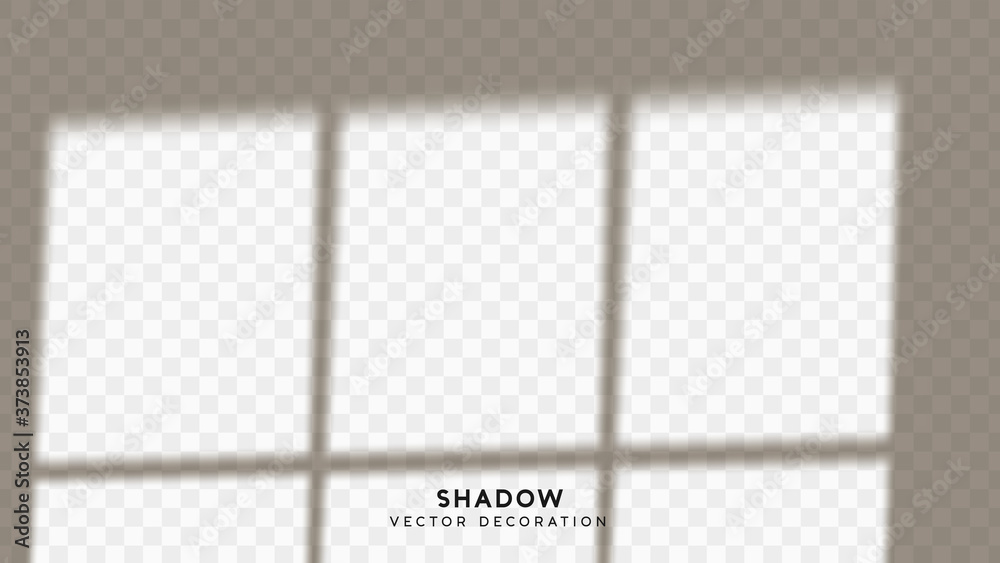 Shadow overlay. Effect light transparent shadow. Realistic creating ...