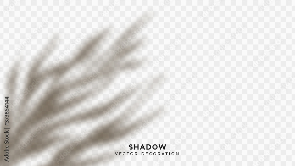 Shadow overlay. Effect light transparent shadow. Realistic creating ...