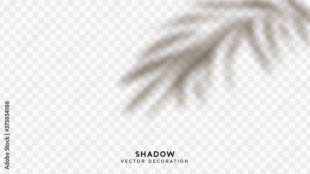 Shadow overlay. Effect light transparent shadow. Realistic creating ...