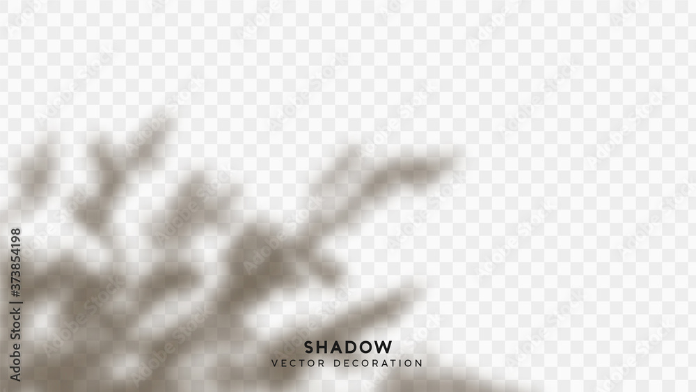 Shadow overlay. Effect light transparent shadow. Realistic creating ...