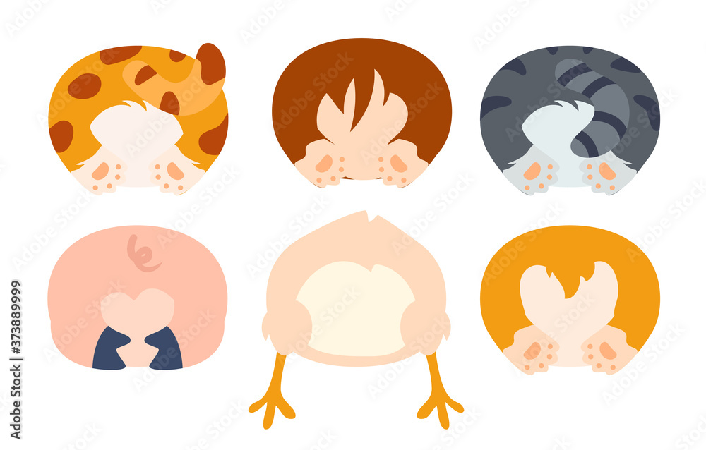 Show Pig Butt Outline