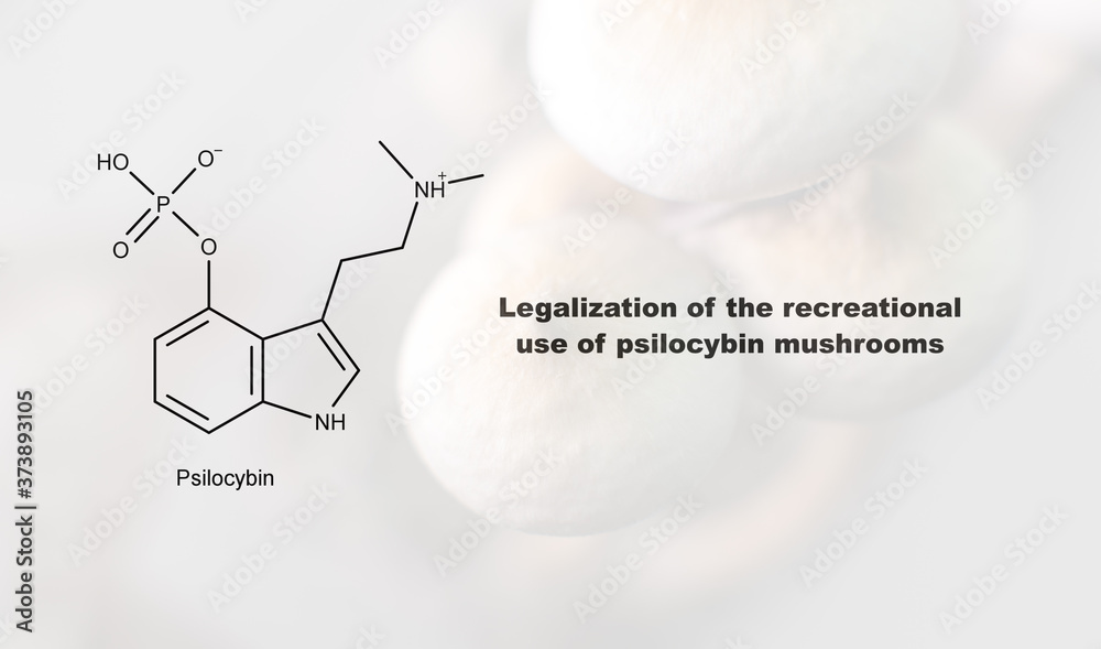 Legalization of the recreational use of psilocybin mushrooms ...
