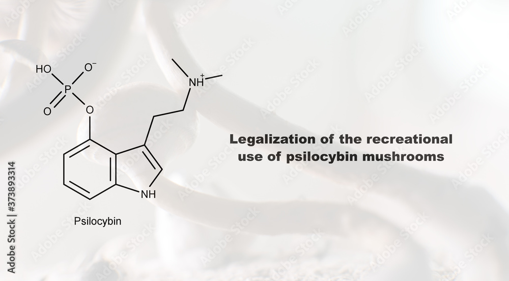 Legalization of the recreational use of psilocybin mushrooms ...