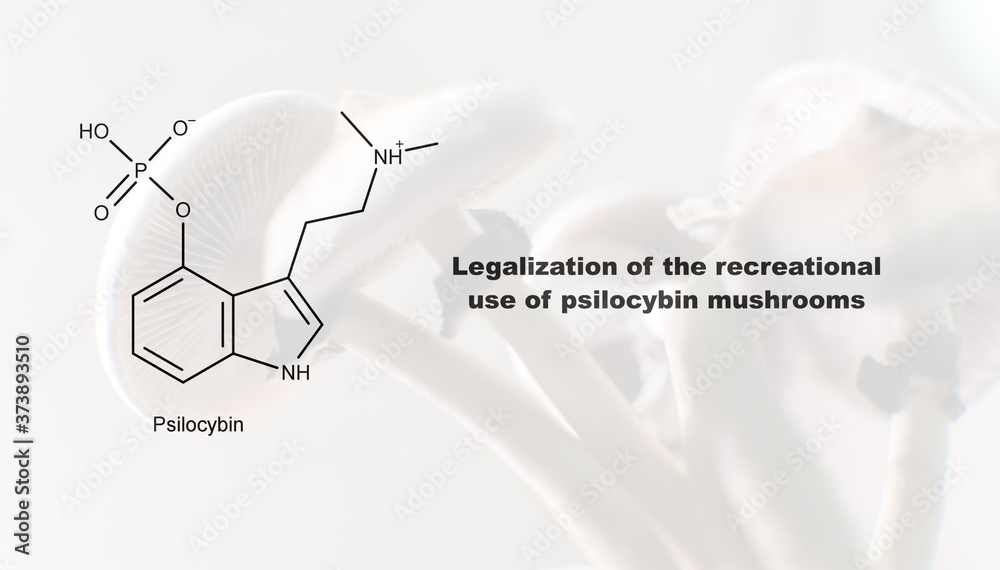 Legalization of the recreational use of psilocybin mushrooms ...