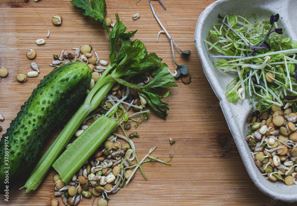 Mixed sprouts Seeds of green, lentils flax seed. New life concept seed ...