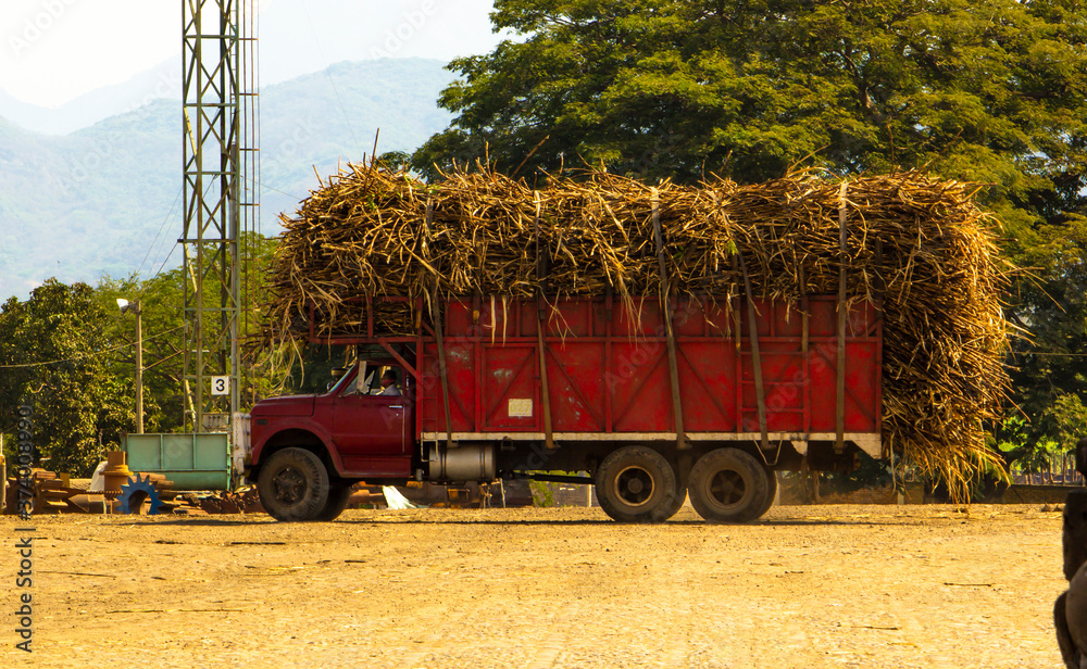 Foto de Camión de carga con caña quemada camión carro cañero azucarero ...