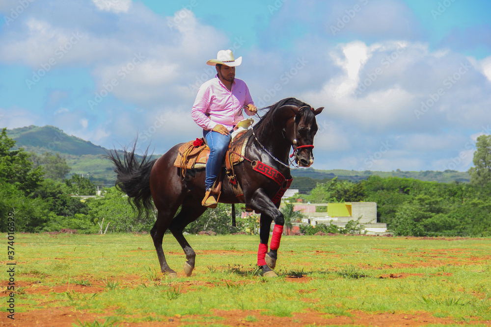 Caballo bailador montado por jinete ranchero mexicano rancho méxico ...