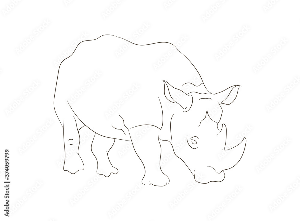 rhino vector illustration, line drawing, vector Stock Vector | Adobe Stock