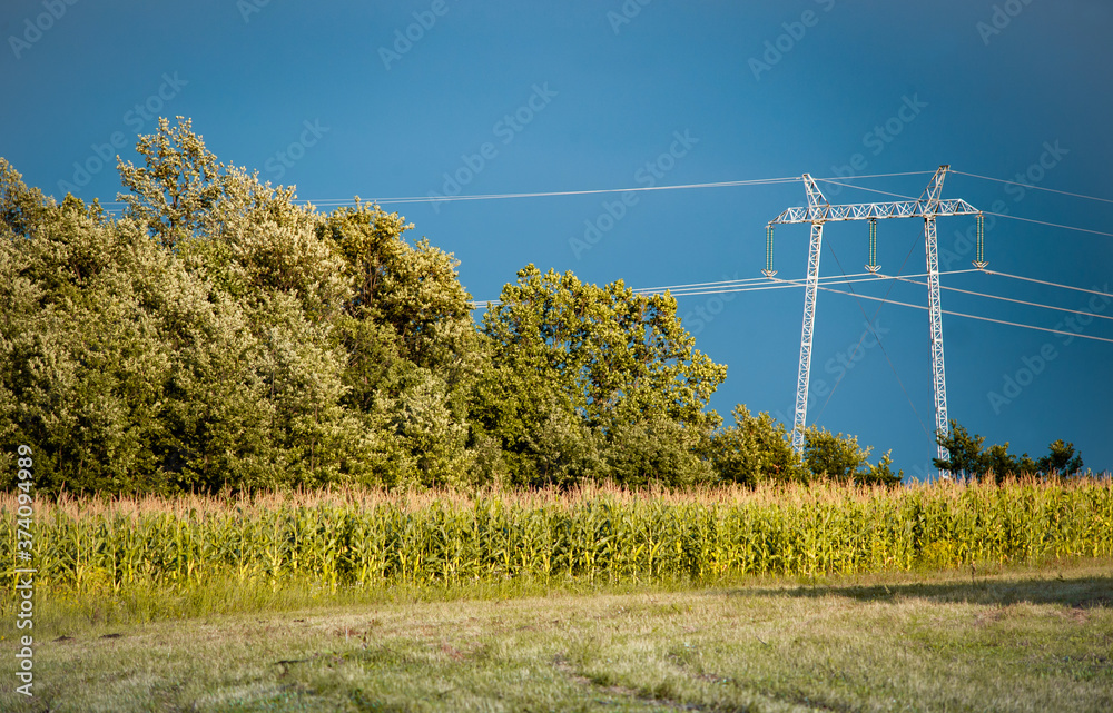 High voltage transmission line in nature. Transmission of electric ...