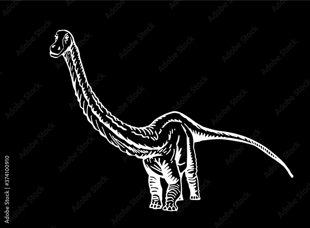 Vector diplodocus isolated on black background, graphical illustration ...
