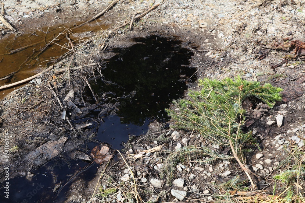 Motor oil spill - soil pollution Stock Photo | Adobe Stock