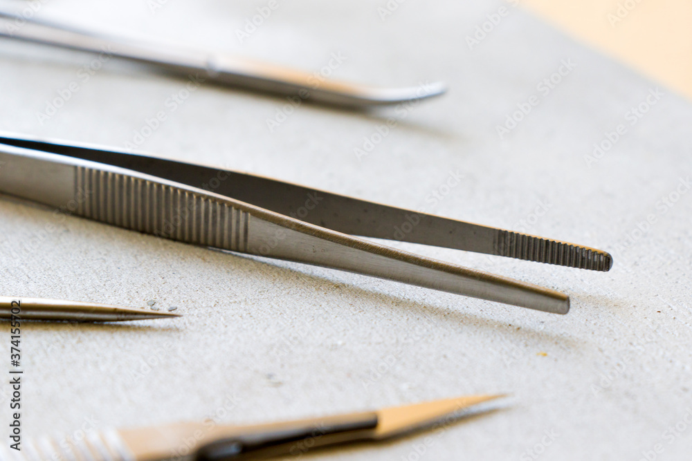 Dissection Kit - Stainless Steel Tools for Medical Students of Anatomy ...