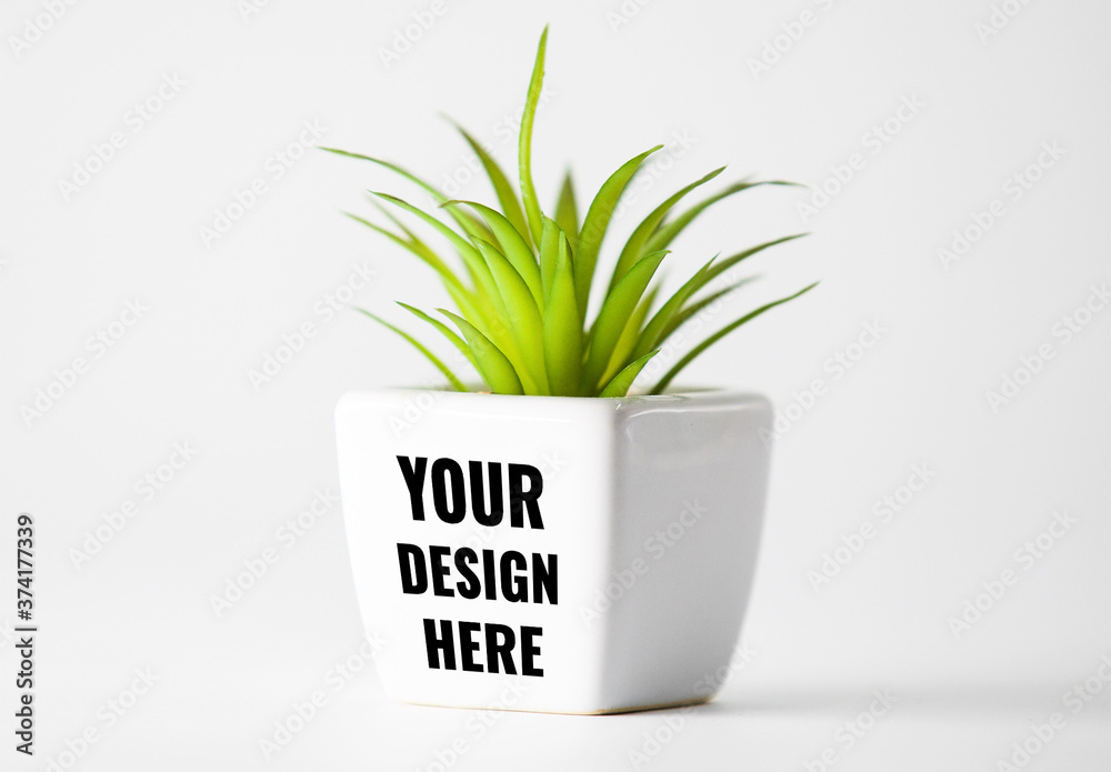 Plant Mockup Stock Template | Adobe Stock