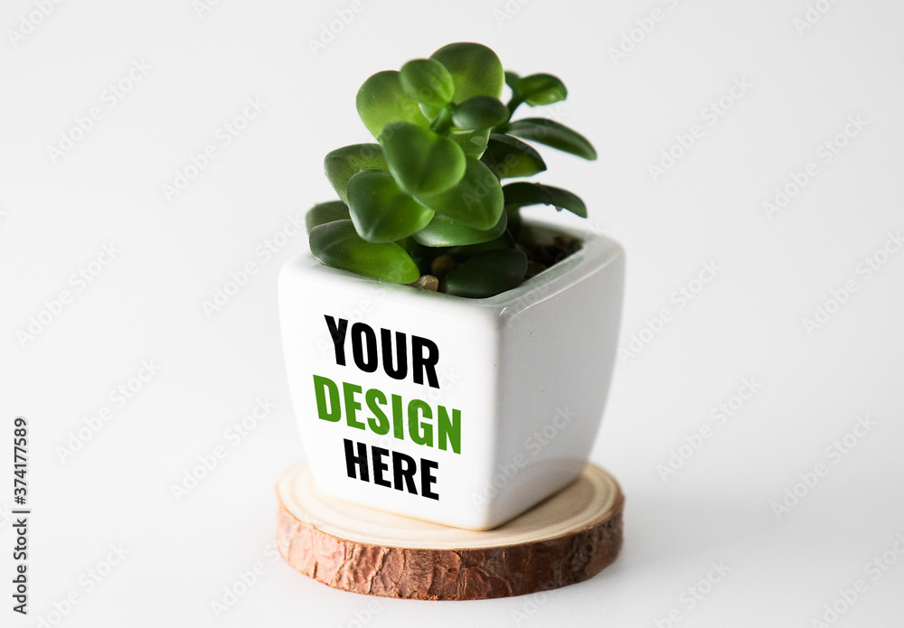 Plant Mockup Stock Template | Adobe Stock