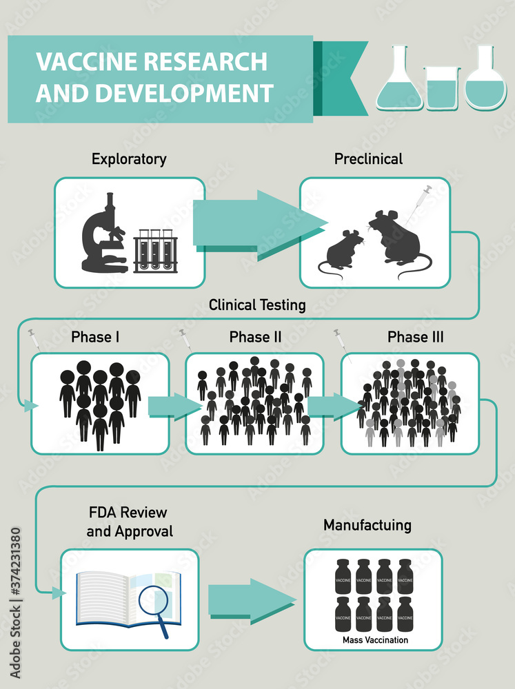 Vaccine research and development infographic Stock Vector | Adobe Stock