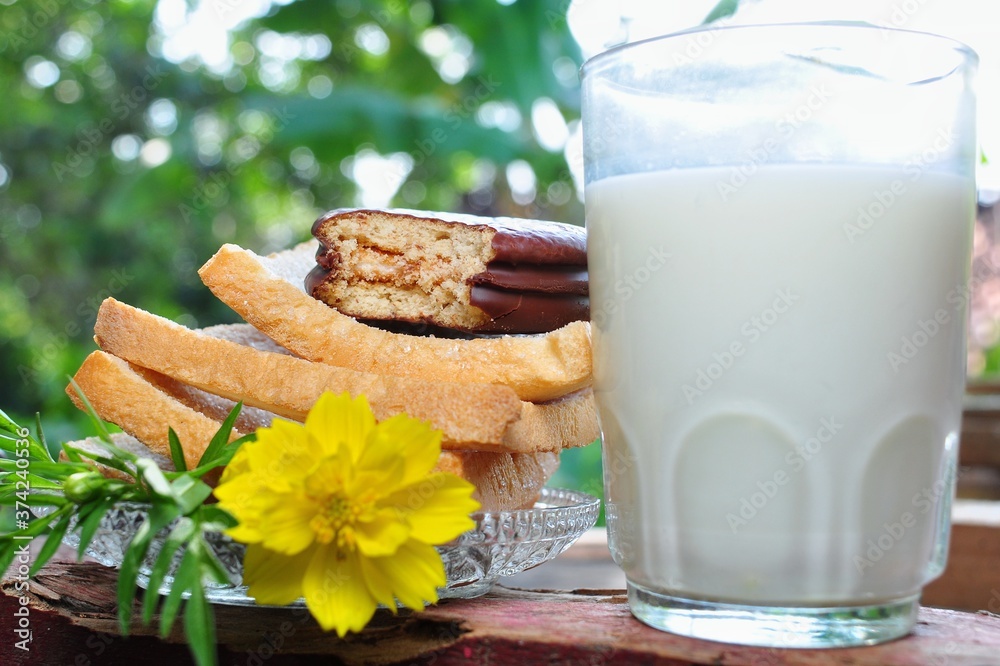 Dry rusk bread, choco pie chocolate and a glass of milk isolated on ...