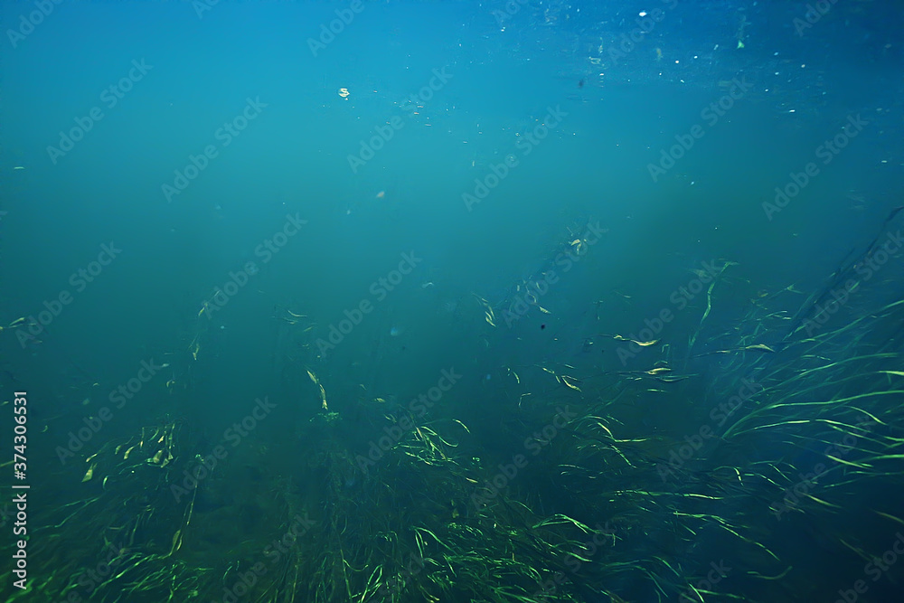 underwater texture of water in a lake / underwater photo freshwater ...