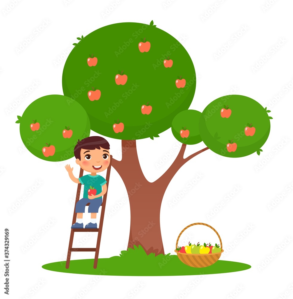 Little boy picking apples flat vector illustration. Adorable child on ...