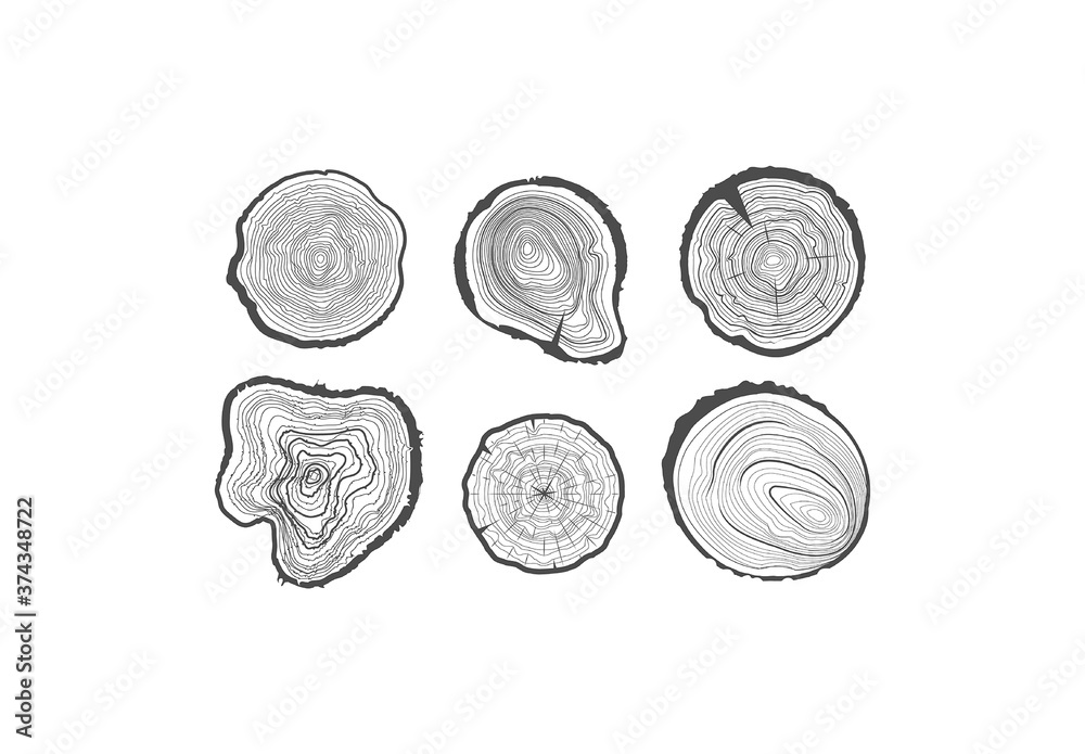 Set of Six Cuts of a Tree Stock Template | Adobe Stock
