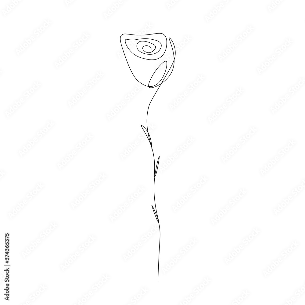 Rose flower line drawing. Vector illustration Stock Vector | Adobe Stock