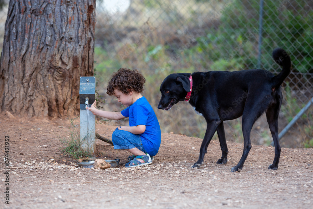 little boy drawing water from an animal fountain to give his big black ...
