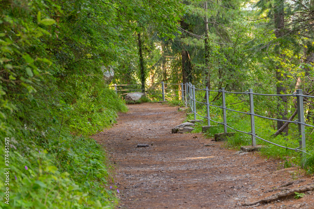 beautiful lush green tracking path mountains perfect for exercise and ...
