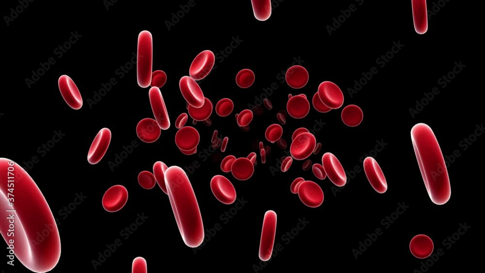 An endless loop of 3D blood cells animation moves towards the screen on ...