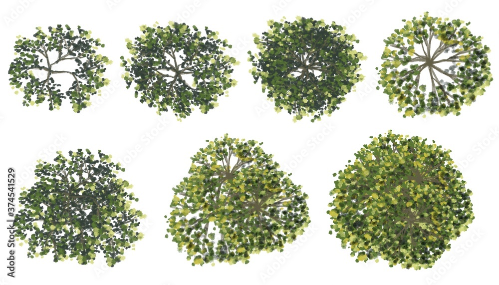 set of watercolor tree top view for landscape plan and architecture ...