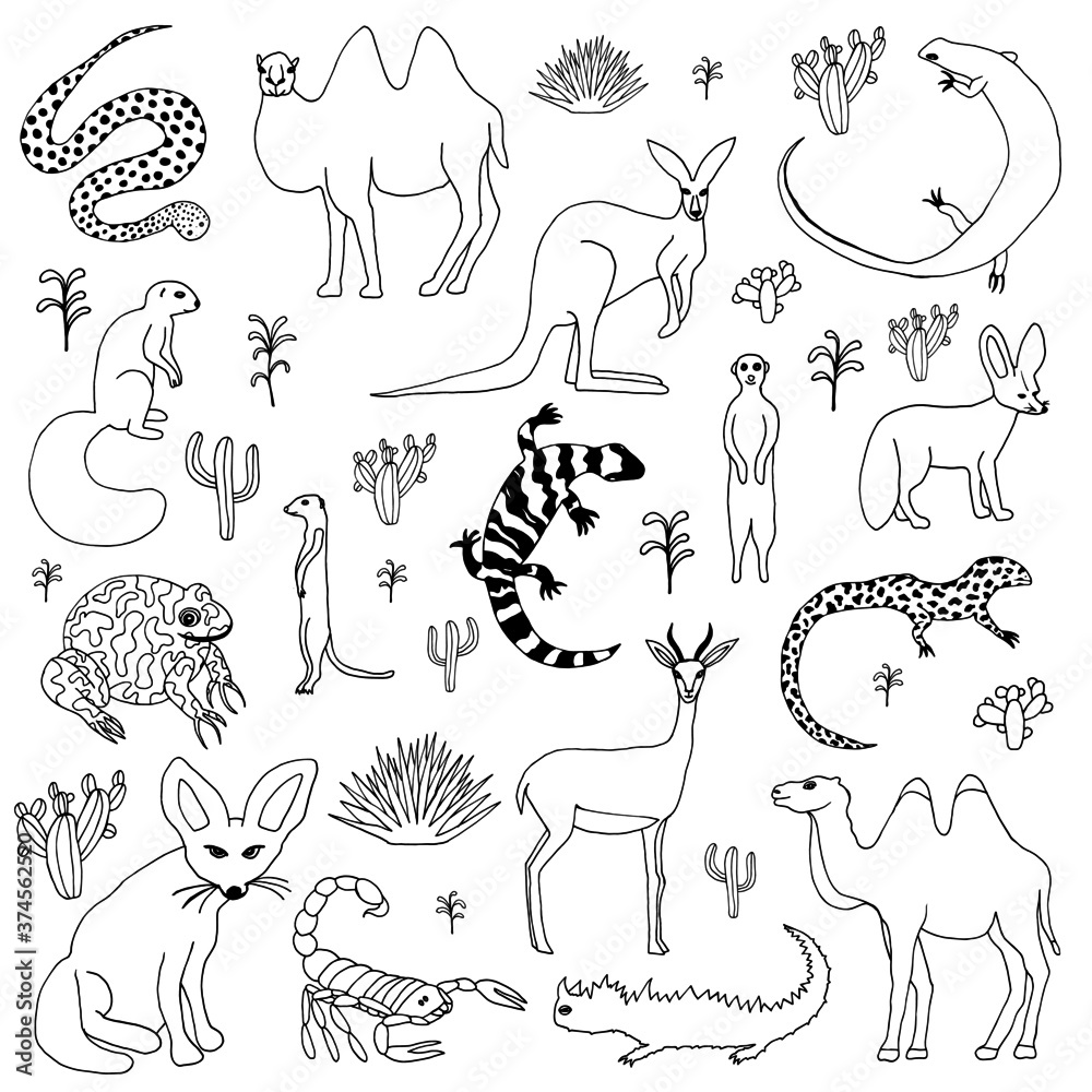 Animals vector set. Desert animals and reptiles. Camel, snake, bitis ...