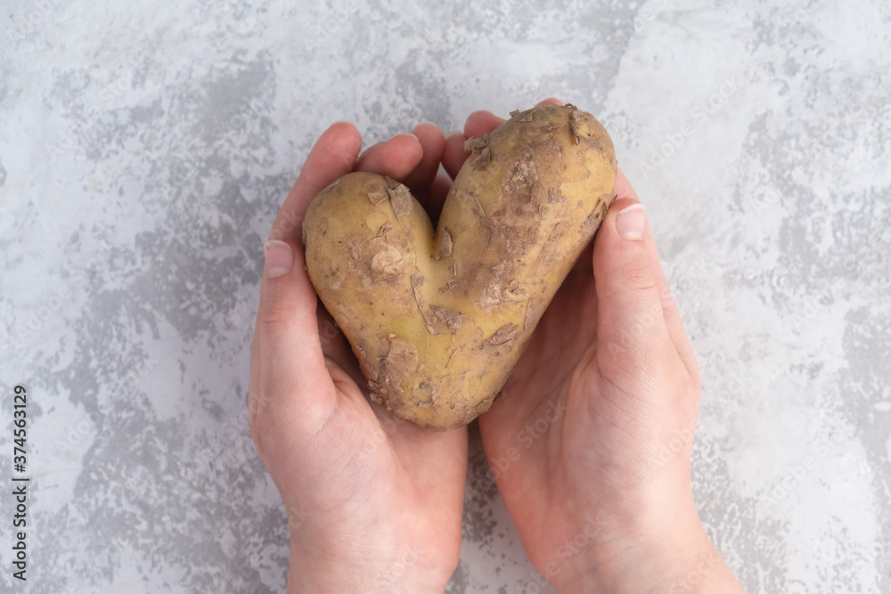 An ugly or deformed potato in the hands of a girl. Trendy deformed ...