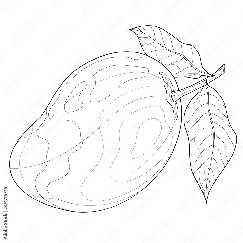 Mango fruit.Coloring book antistress for children and adults ...