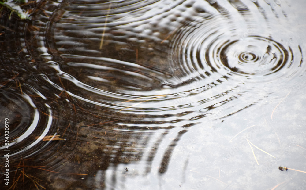 weather, puddle, drop, raindrops, background, liquid, raindrop, water ...
