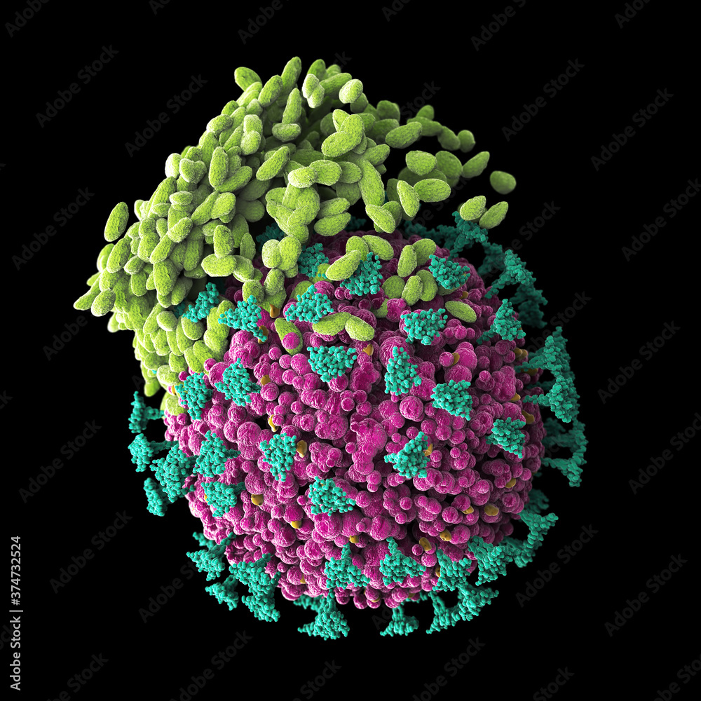 Coronavirus Covid-19 under the microscope attacked by microorganisms ...