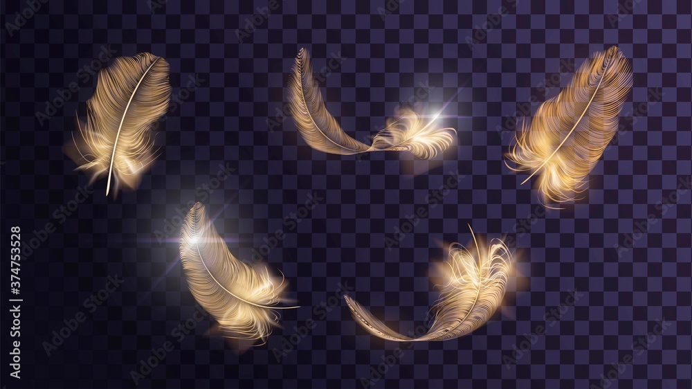 Set of different vector golden feathers on a transparent background ...