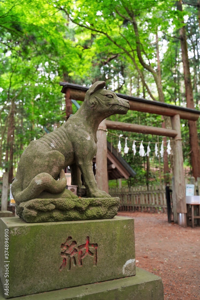 Komainu (shrine guardian dog statues) at Hotosan Jinja Shrine Okumiya ...