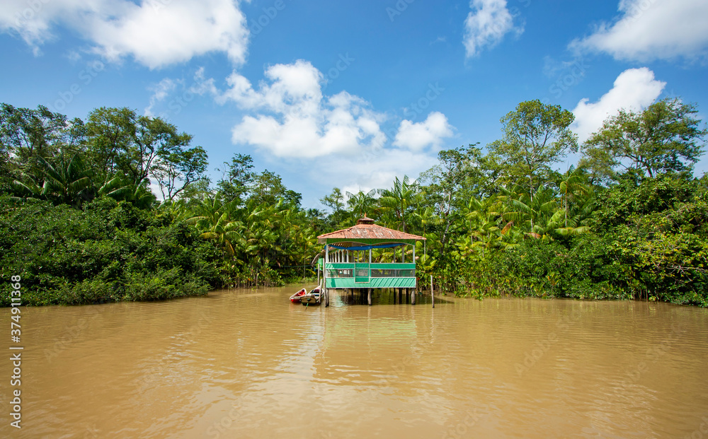 Trapiche de residência típica em casa ribeirinha na beira de um rio no ...