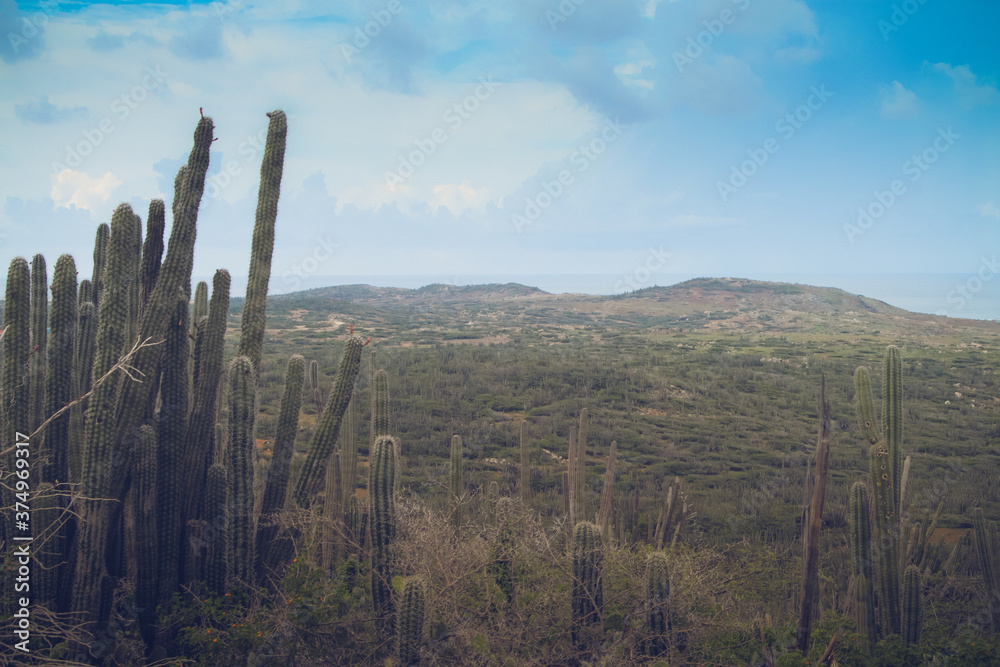 touring aruba in the caribbean natural pool and desert. exploring the ...