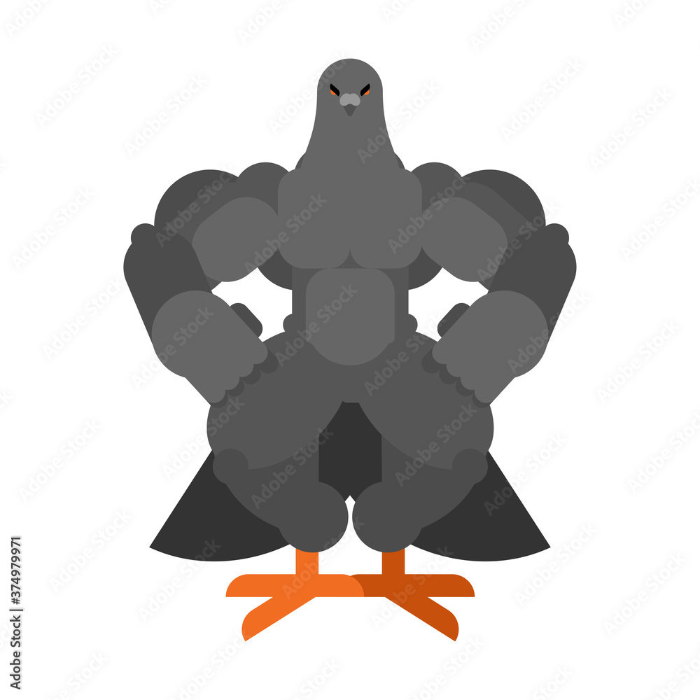 Strong dove. Powerful pigeon. hard City bird bodybuilder Stock Vector ...