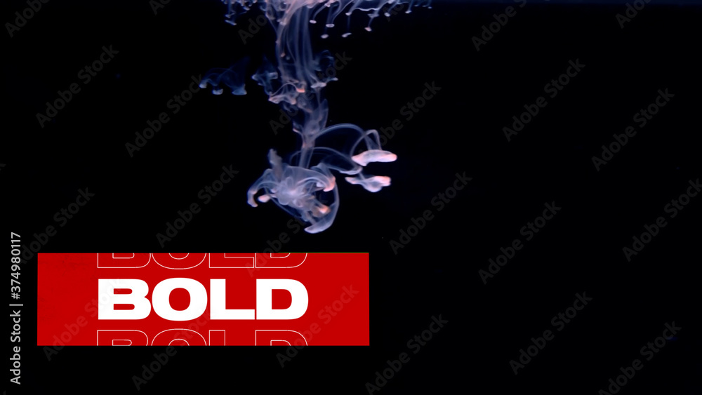 Bold Flip Tile Lower Thirds Stock Template | Adobe Stock