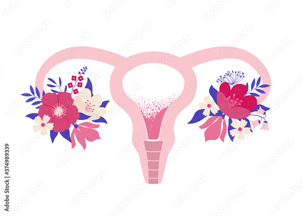 Beauty Female Reproductive System With Flowers Hand Drawn Uterus Womb