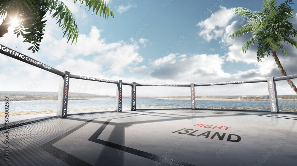 Fight island. Fighting Championship. Location of the MMA tournament on ...