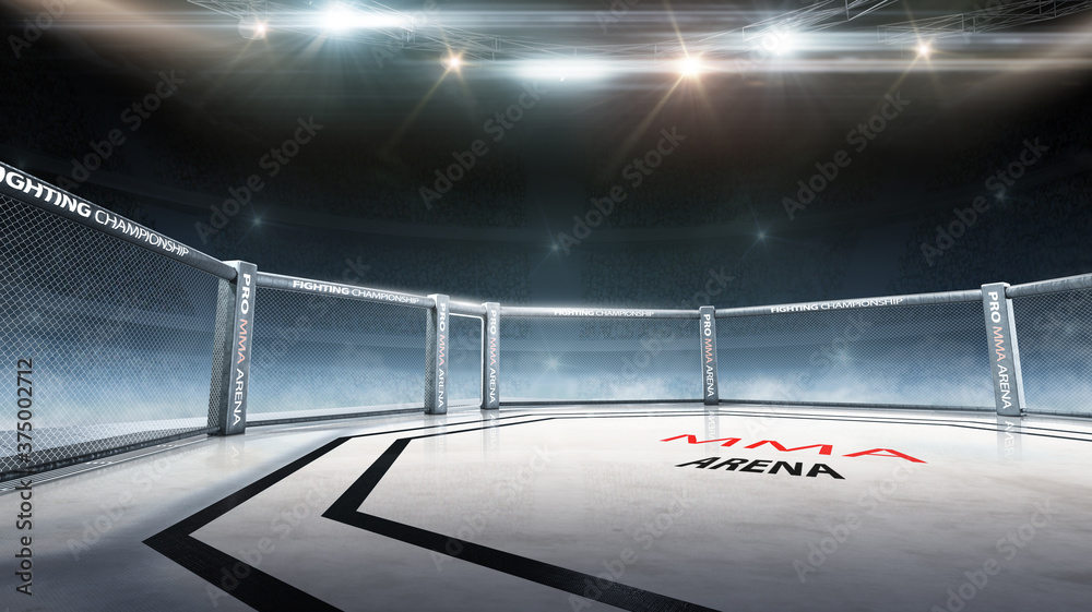 Fighting Championship. Fight night. 3D render MMA arena. Full tribune ...