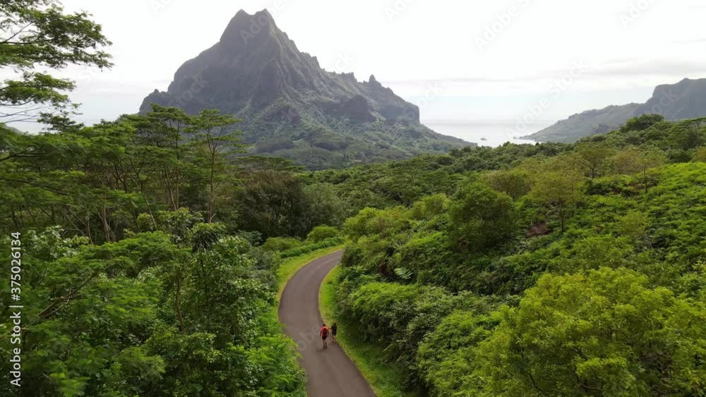 Honeymoon couple hike in green jungle forest of Mount Rotui. Moorea ...